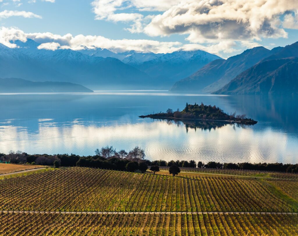 Te Awanga Estate - Elite Wines®