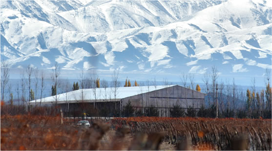 Familia Mayol - Elite Wines®