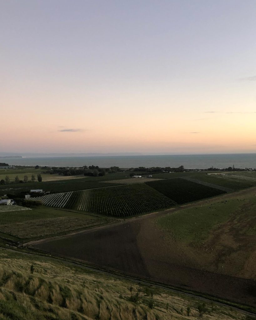 Te Awanga Estate - Elite Wines®