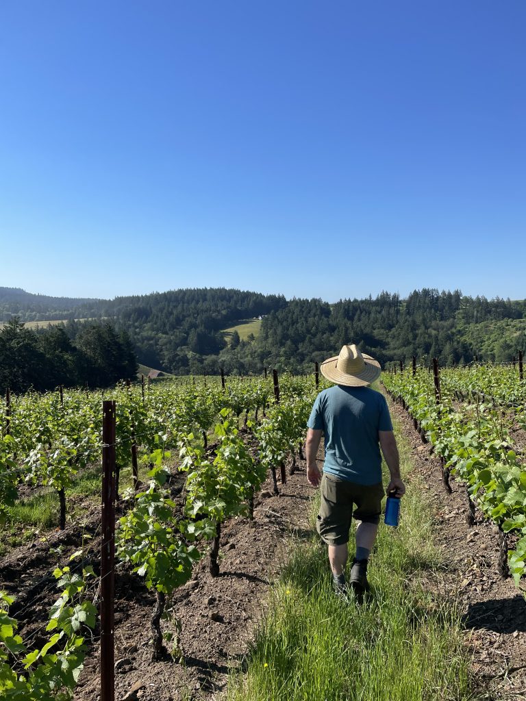 Colene Clemens Vineyards - Elite Wines®