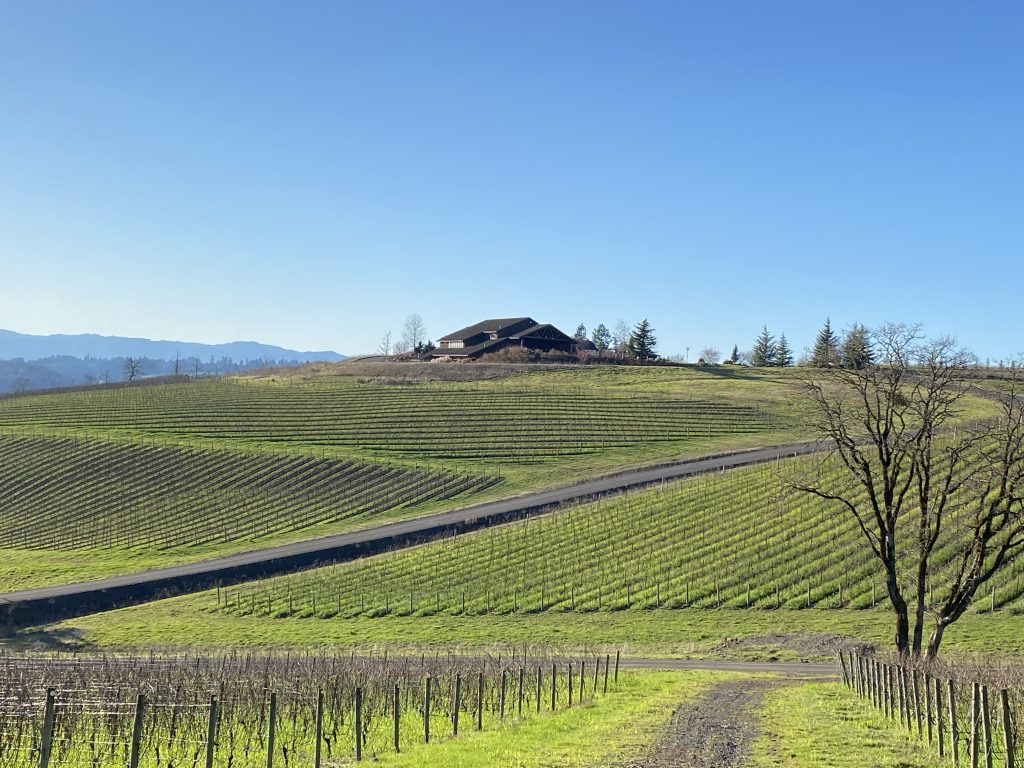 Colene Clemens Vineyards - Elite Wines®