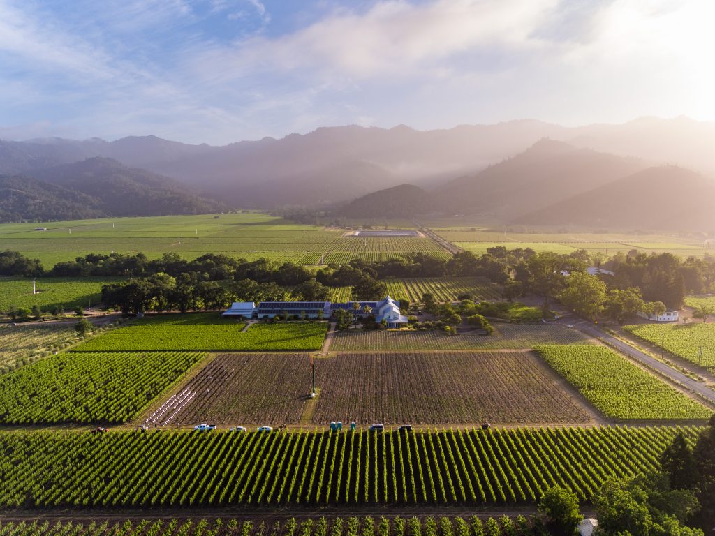 Larkmead Vineyards - Elite Wines®