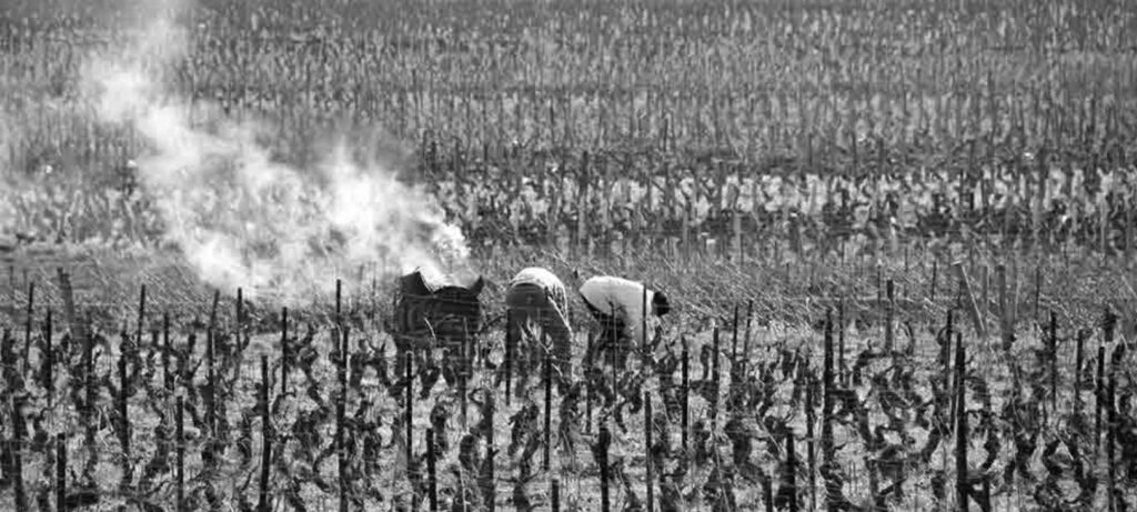 Domaine Nicolas Rossignol - Elite Wines®