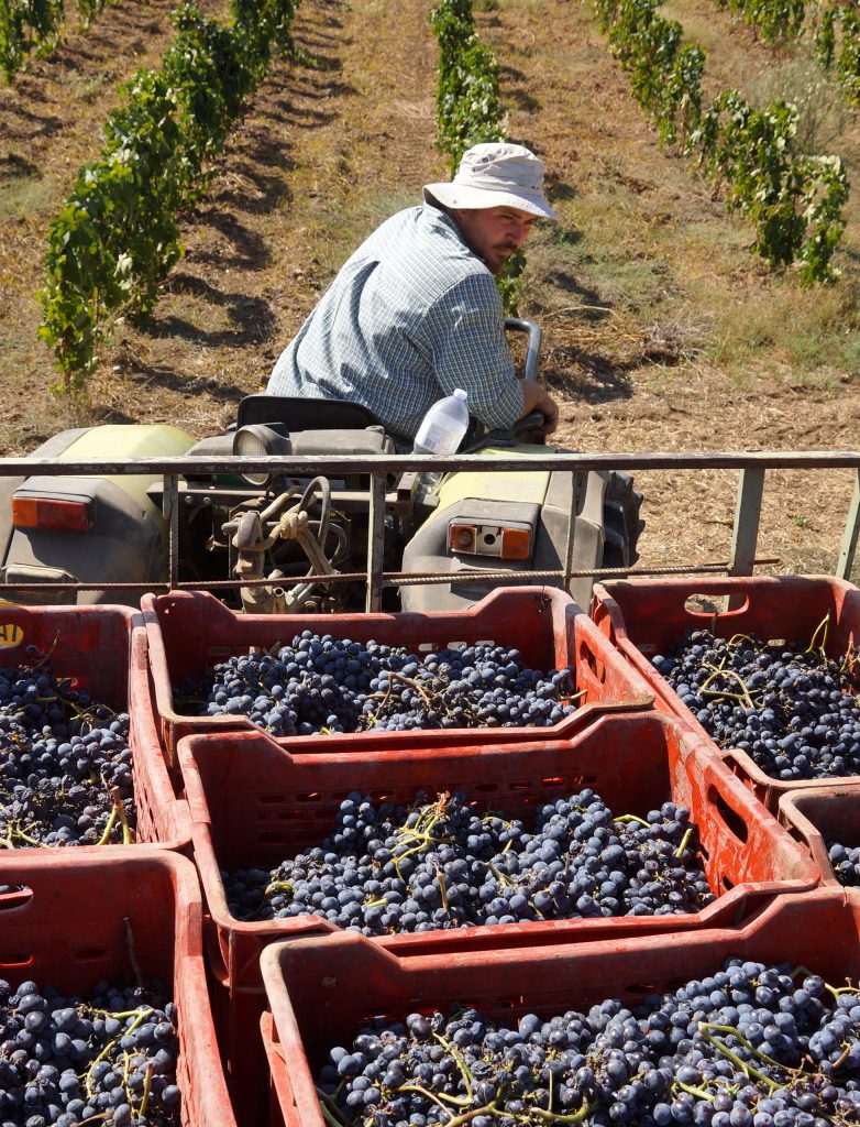Tenuta Valle delle Ferle - Elite Wines®