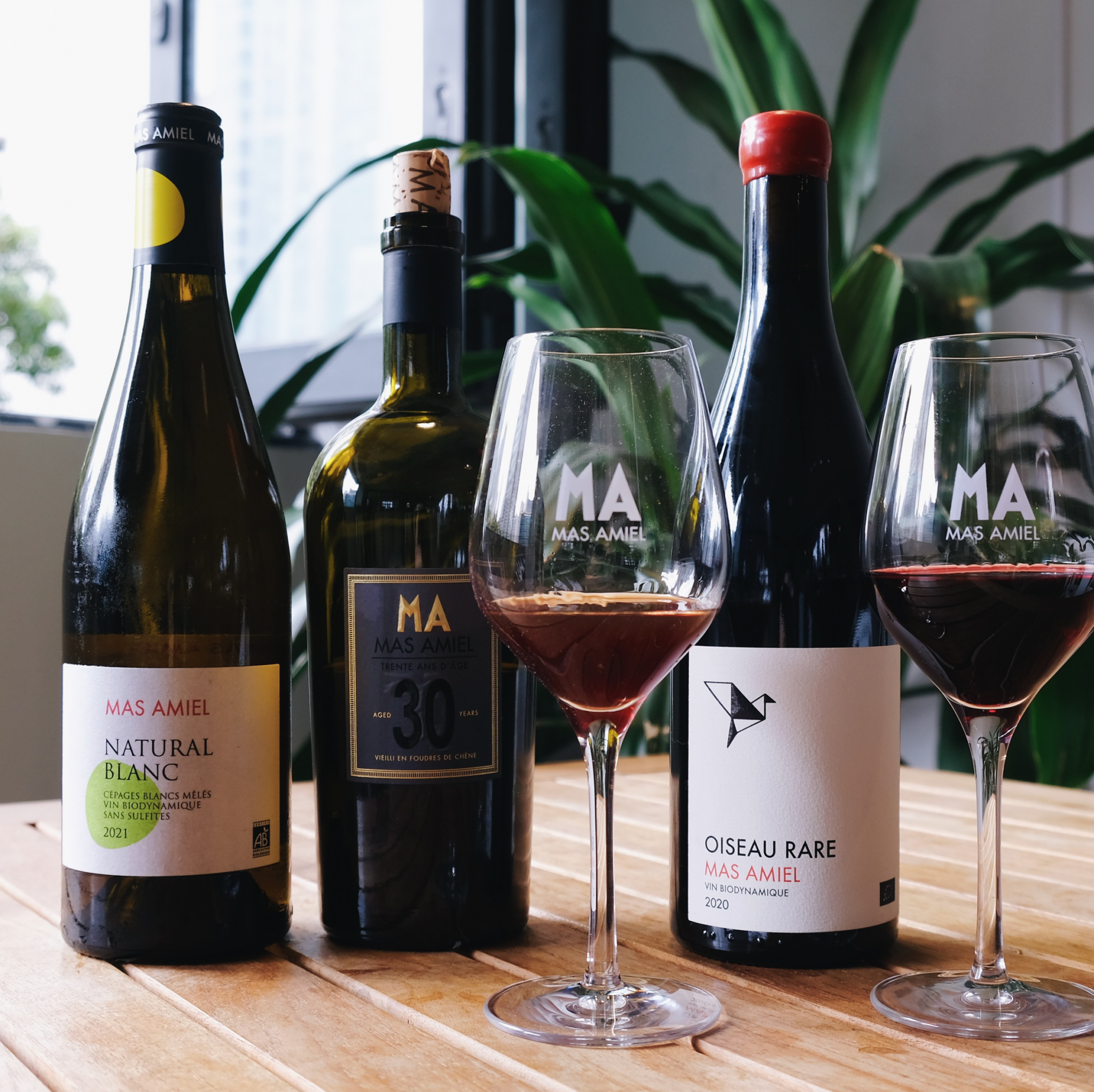 Wine Tasting with Decelle Family Estates – Elite Wines®
